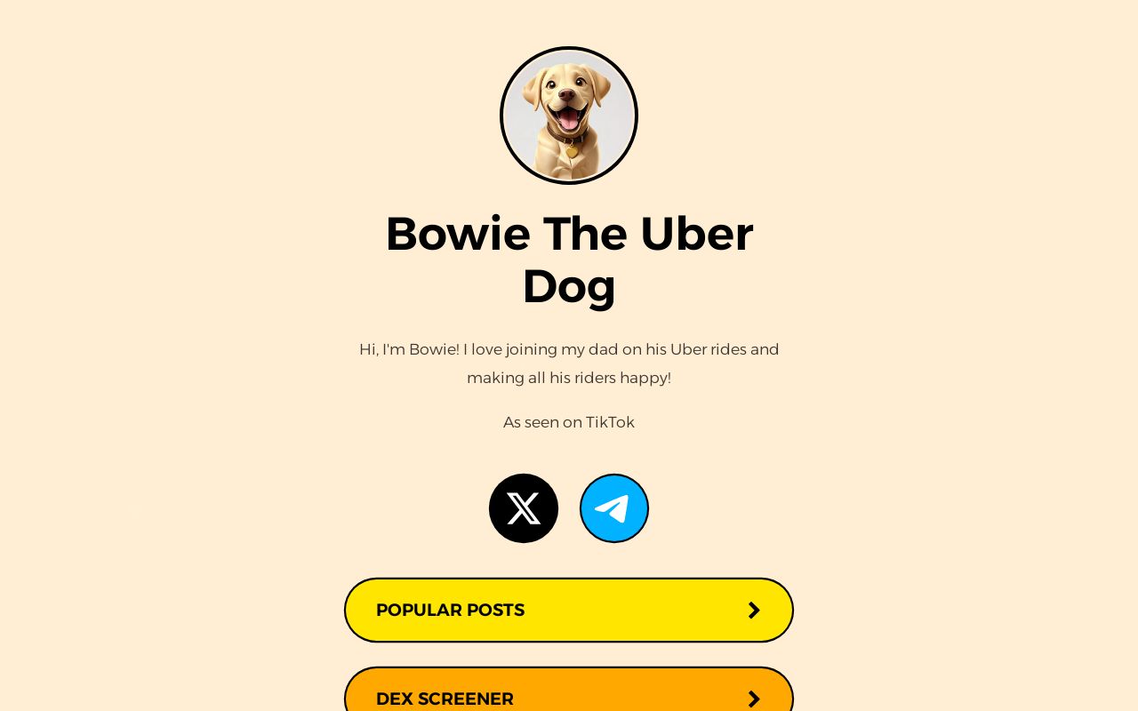 Bowie The Uber Dog